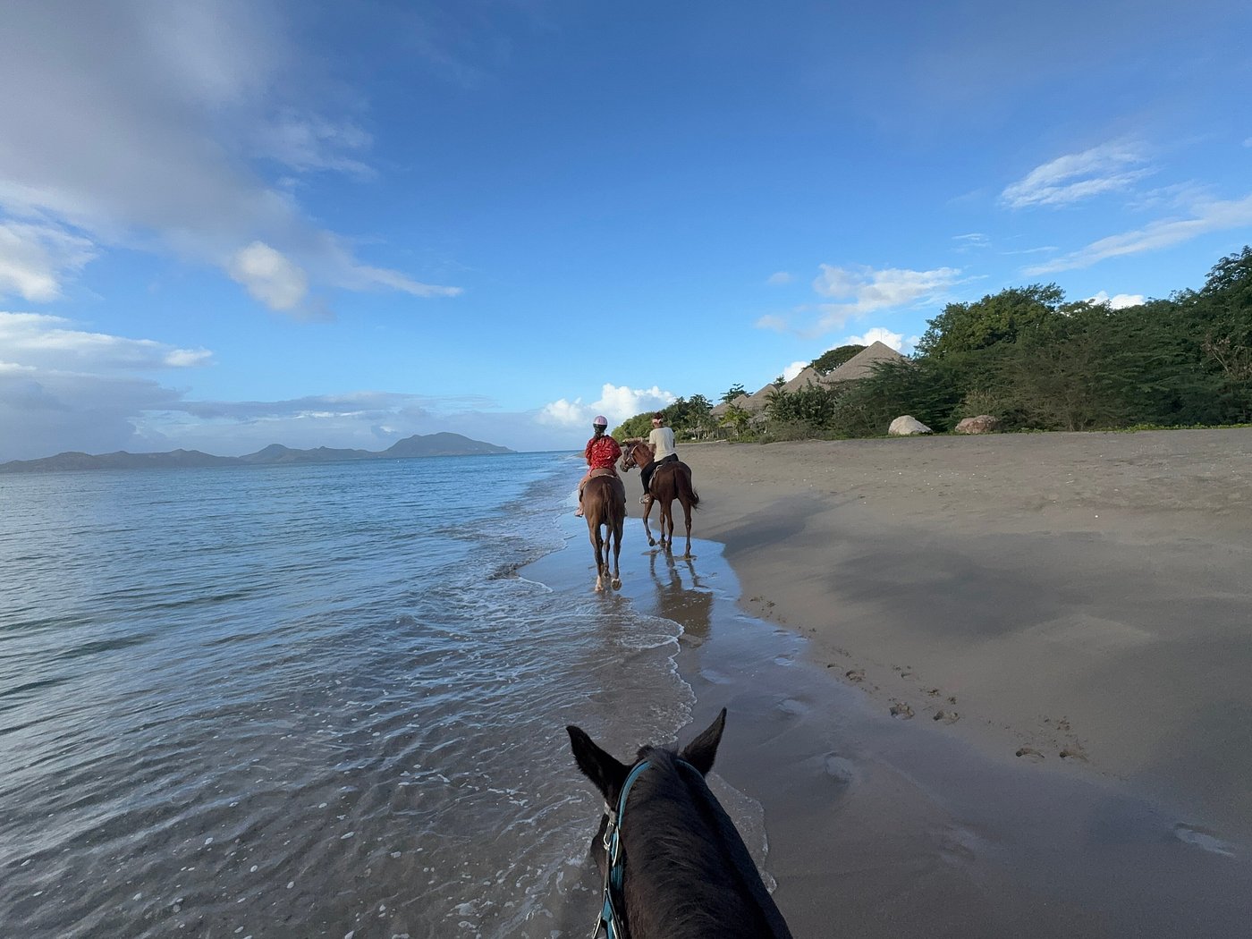 Frequently Asked QuestionsNevis Equestrian Centre - Horseback Riding in ...