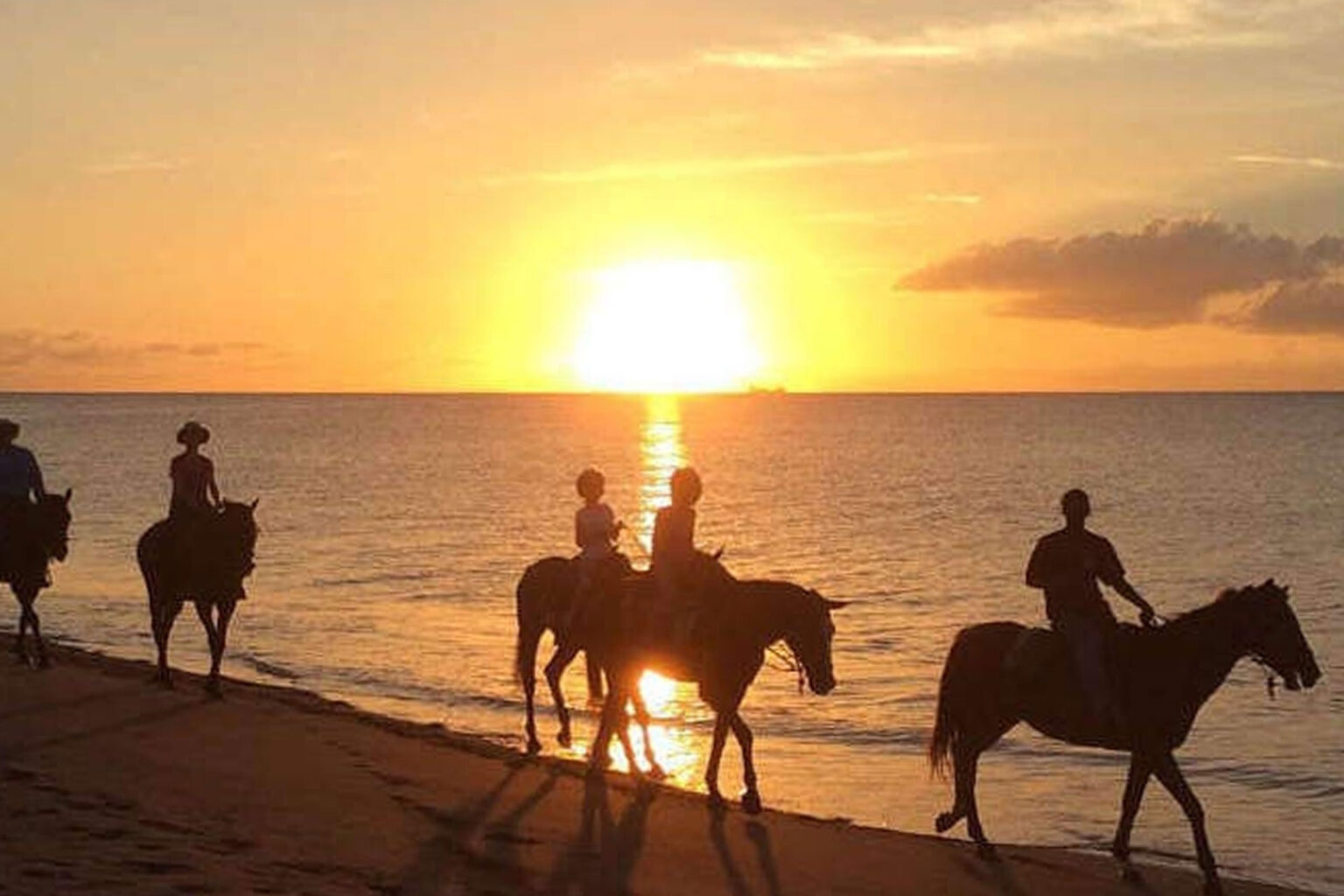 What is There to Do in Nevis? - Nevis Equestrian Centre